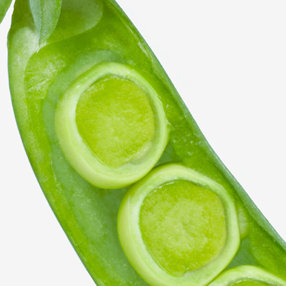 えんどう豆の栄養素とは？カロリーや糖質についても解説！｜ZENB（ゼンブ）公式通販