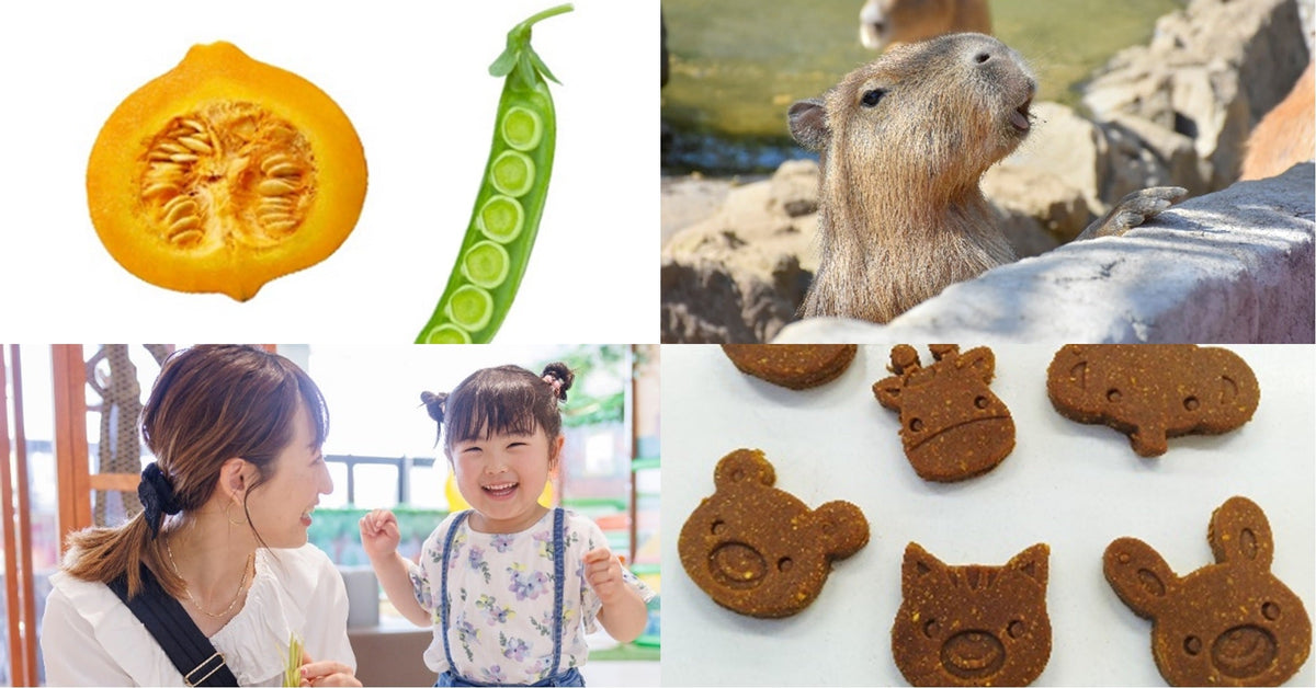 普段捨ててしまう種やさやまで「まるごと野菜」を動物のおやつや飼料に。 ZENBが伊豆シャボテン動物公園とフードロス削減の取組みを開始｜ZENB（ゼンブ）公式通販